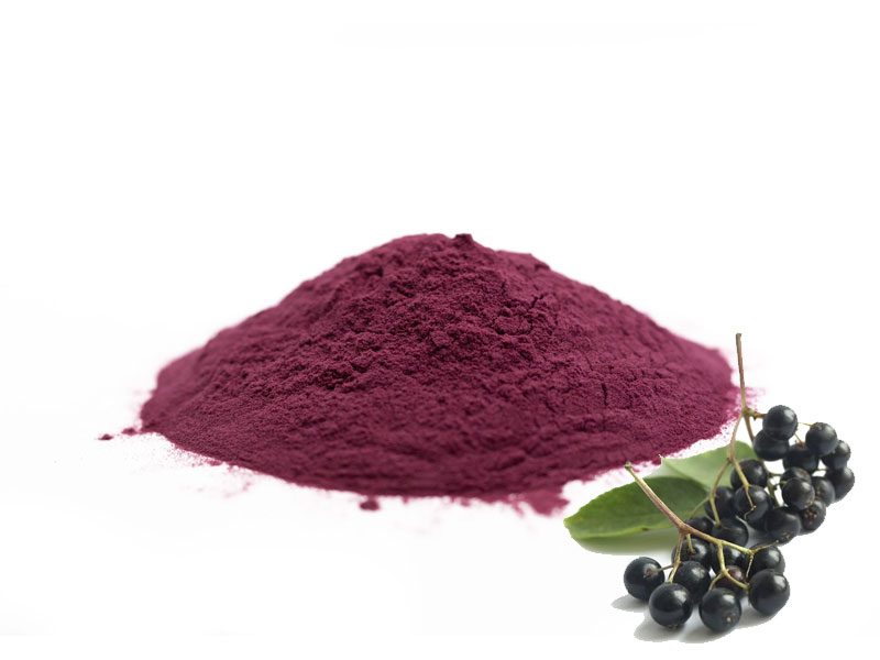 Bulk Organic Elderberry Powder & Juice Powder | High Anthocyanins ...