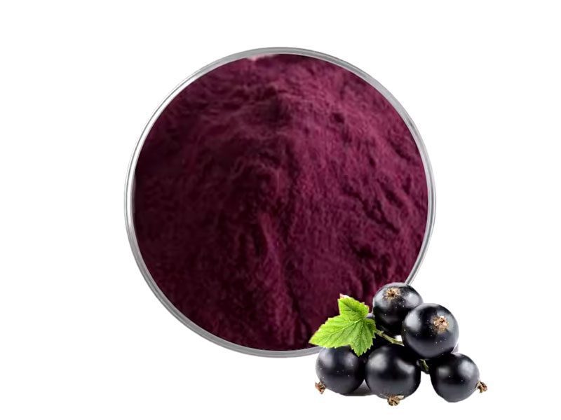 Bulk Organic Black Currant Powder & Juice Powder | High Anthocyanins ...